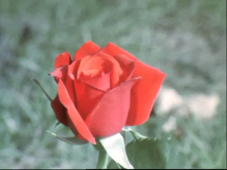 La atracción maoísta: Godard y el grupo Dziga Vertov en Pravda (1970 ...